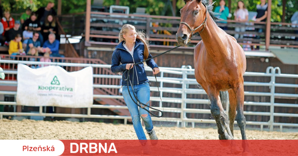 Vyhrajte vstupenky na agrosalon Země živitelka. Výstava začíná už 25. srpna Vyhrajte vstupenky na agrosalon Země živitelka. Výstava začíná už 25. srpna