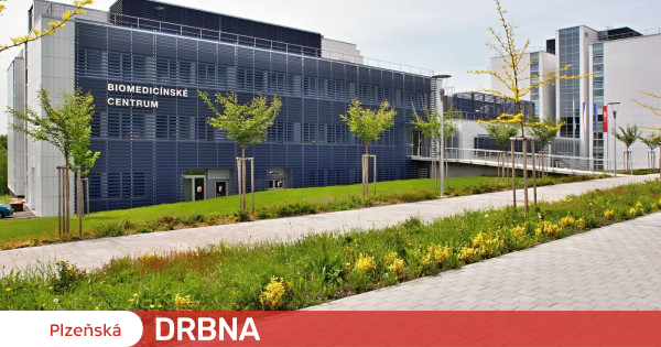 S rekordním výskytem rakoviny tlustého střeva, slinivky břišní a ...