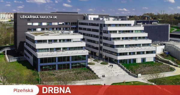 Lékařská fakulta v Plzni má letos opět víc přihlášek než loni. Mezi zájemci o studium převažují ženy