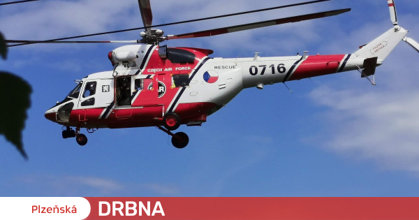 Seniorovi spadla na hlavu větev, když kácel strom. Vrtulník ho v ...