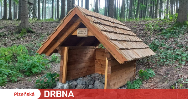 Lesnici obnovili tři studánky v lesích na Kokotsku, podél stezky je i ...
