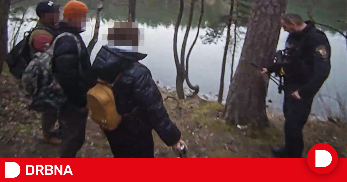 Několik lidí drze pytlačilo u rybníka a úlovek si odbíhali schovávat do ...