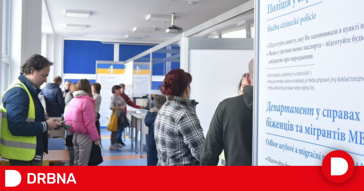 Cizinců žije v Plzeňském kraji 81 000. Nejvíce je Ukrajinců a jejich podíl činí 61 procent