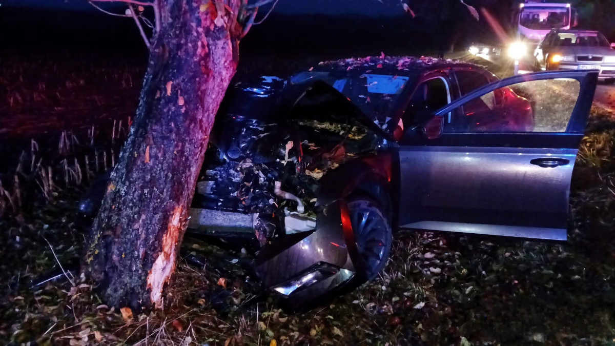 Po drtivém nárazu auta do stromu zahynul pes, mladá řidička utrpěla ...