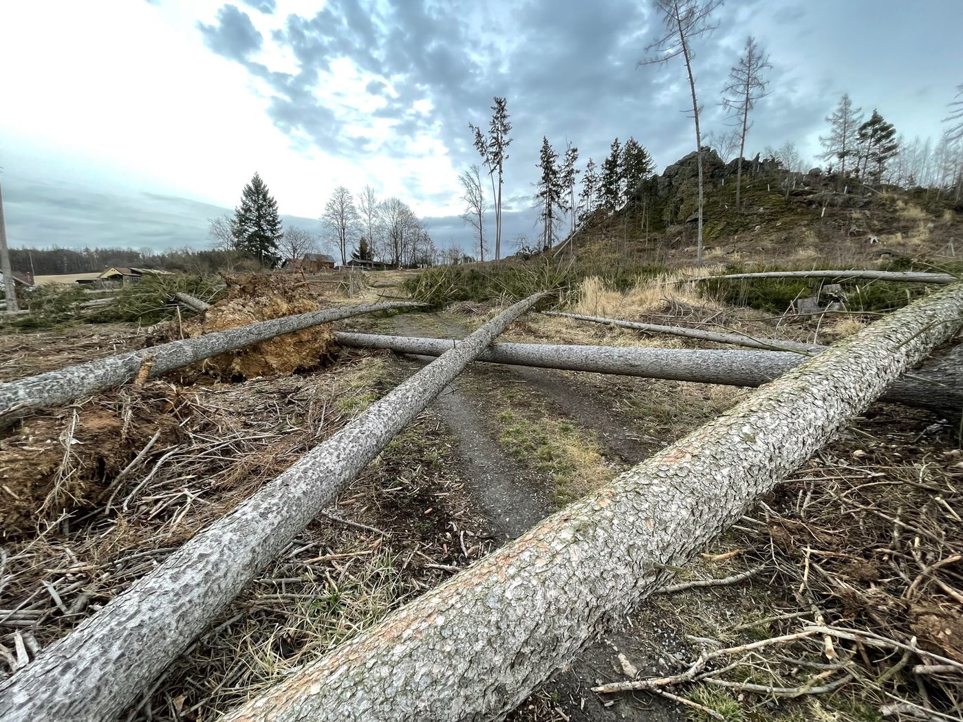 FOTOGALERIE: Polomy na jižním Plzeňsku | FOTOGALERIE: Polomy na jižním ...