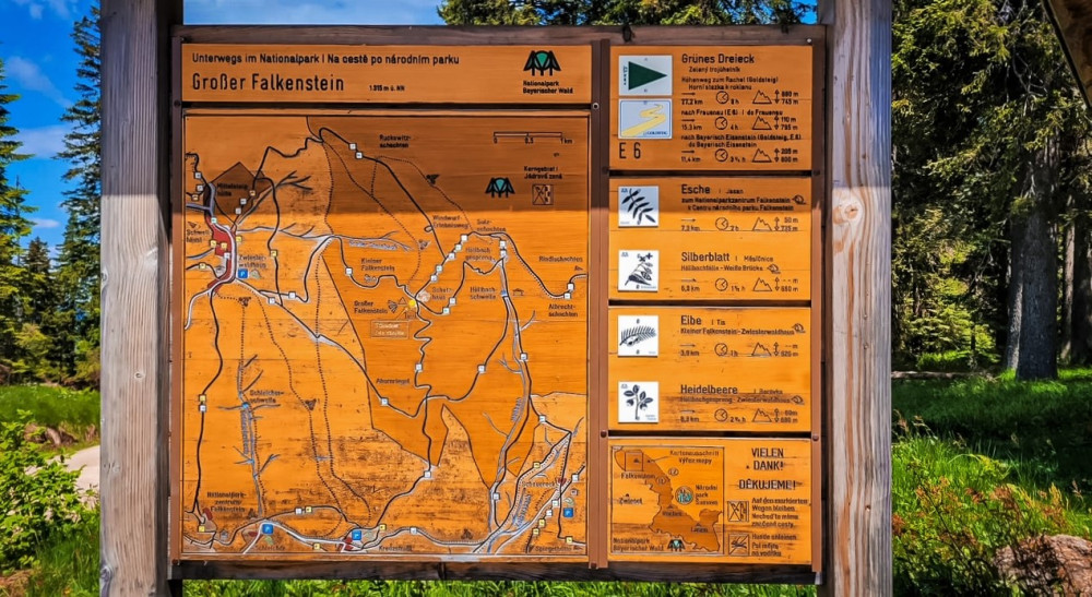 Vysokohorská pastvina v Bavorském lese | Galerie | Plzeňská Drbna ...